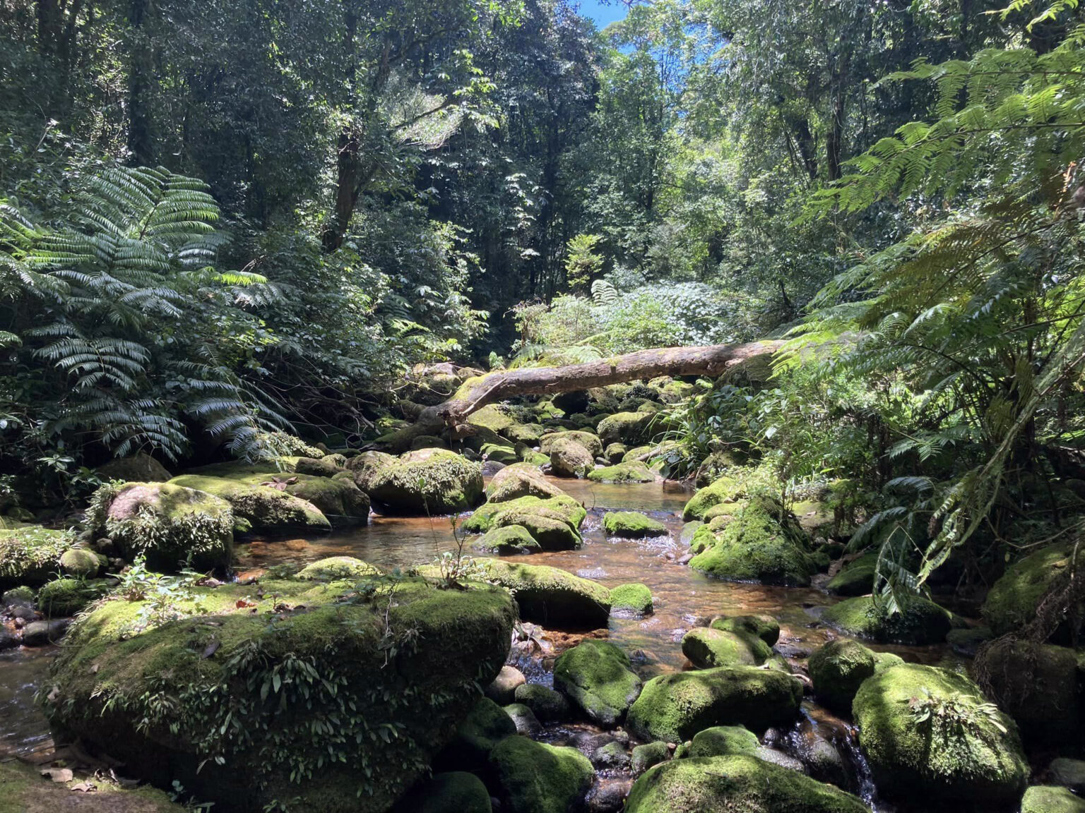 BLOG | Julian Bayliss