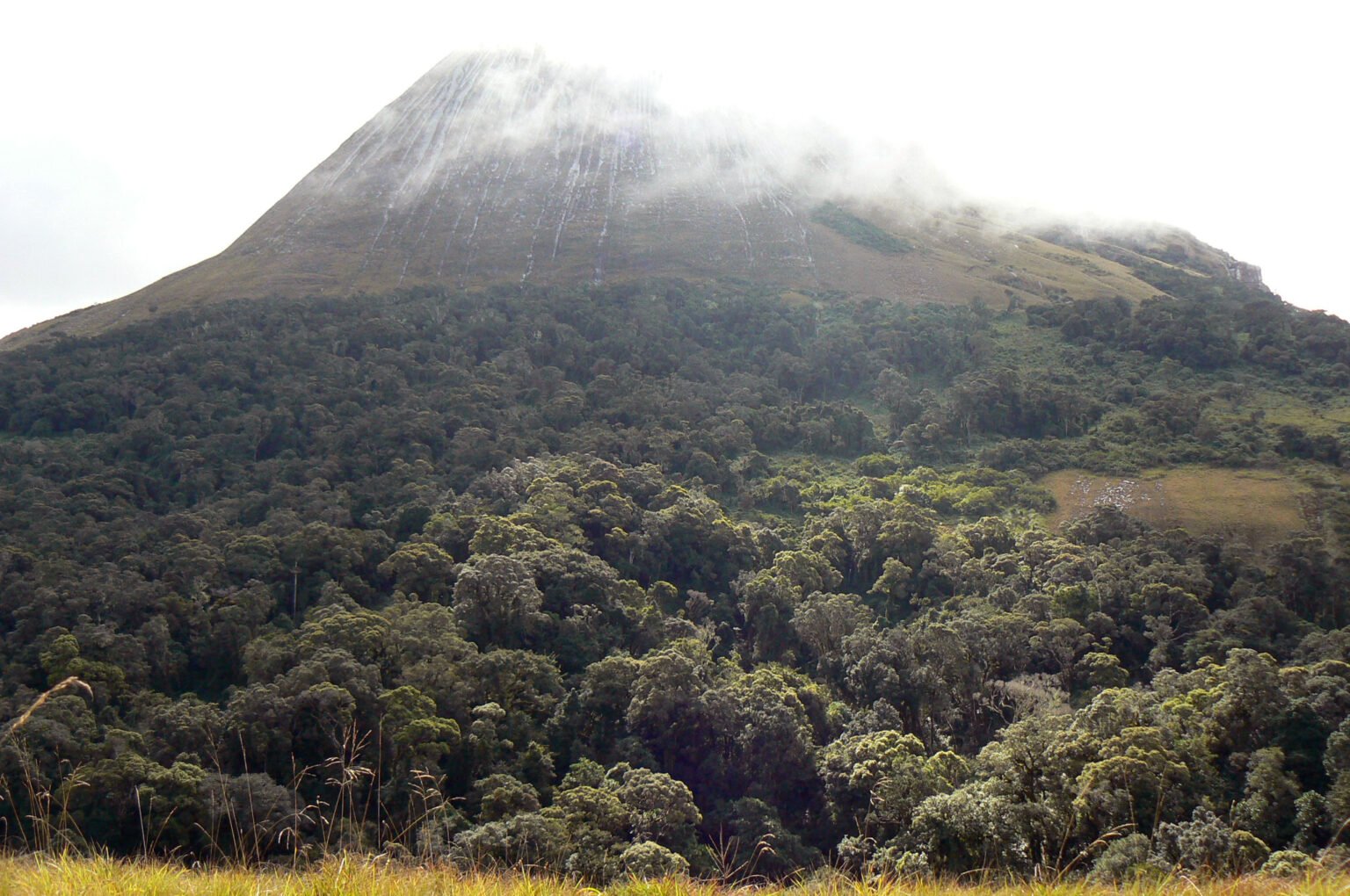 South East Africa Montane Archipelago (SEAMA) | Julian Bayliss
